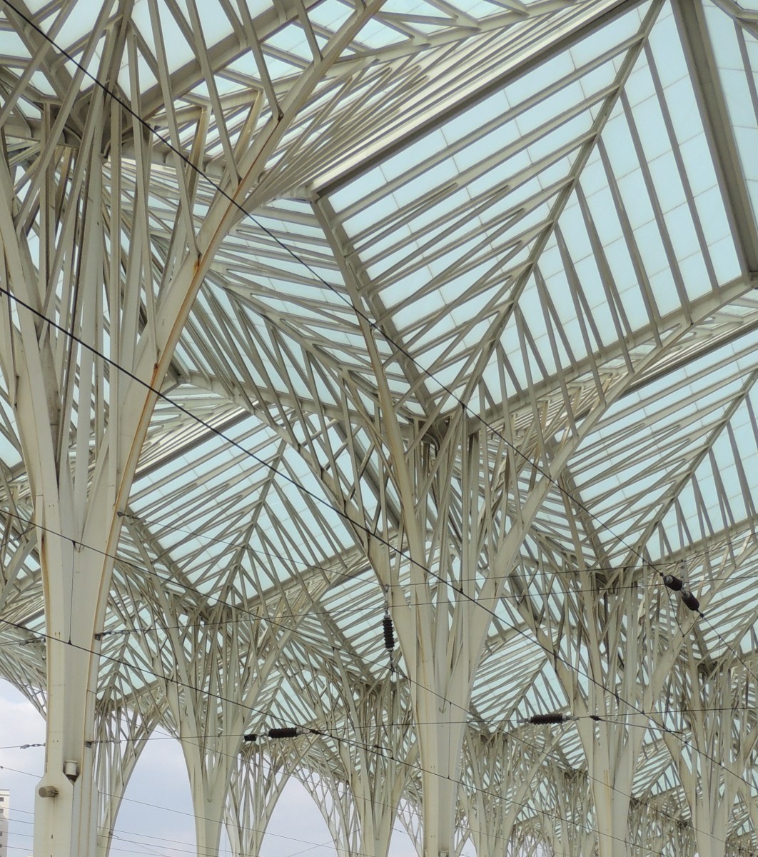 Geometry in Photography – The life of B