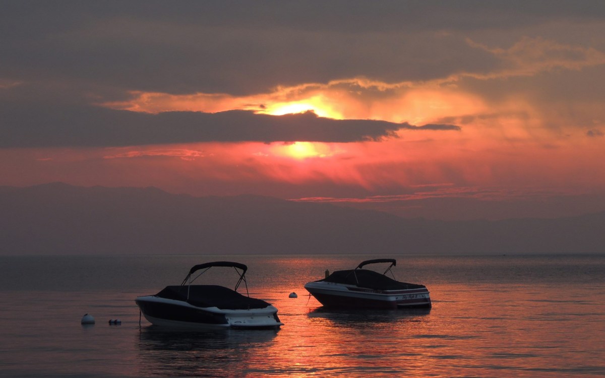 The Square Odds – The life of B