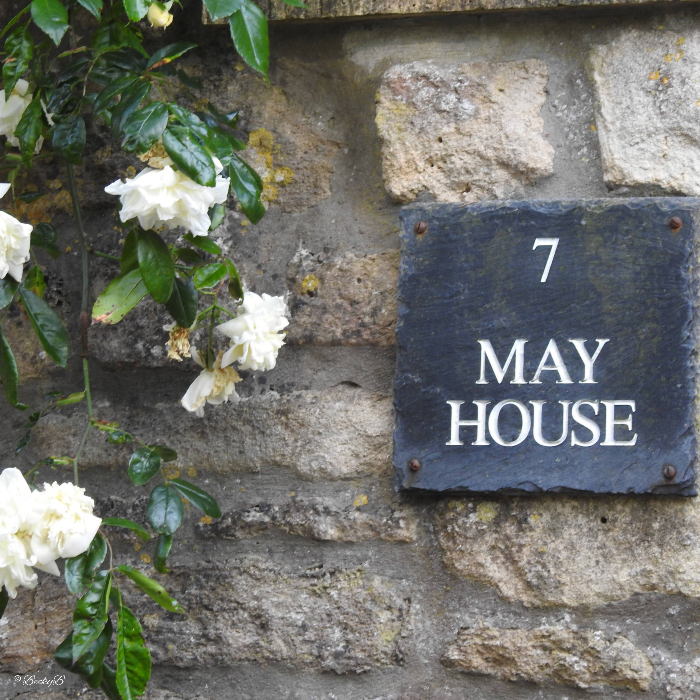 May-September – The life of B