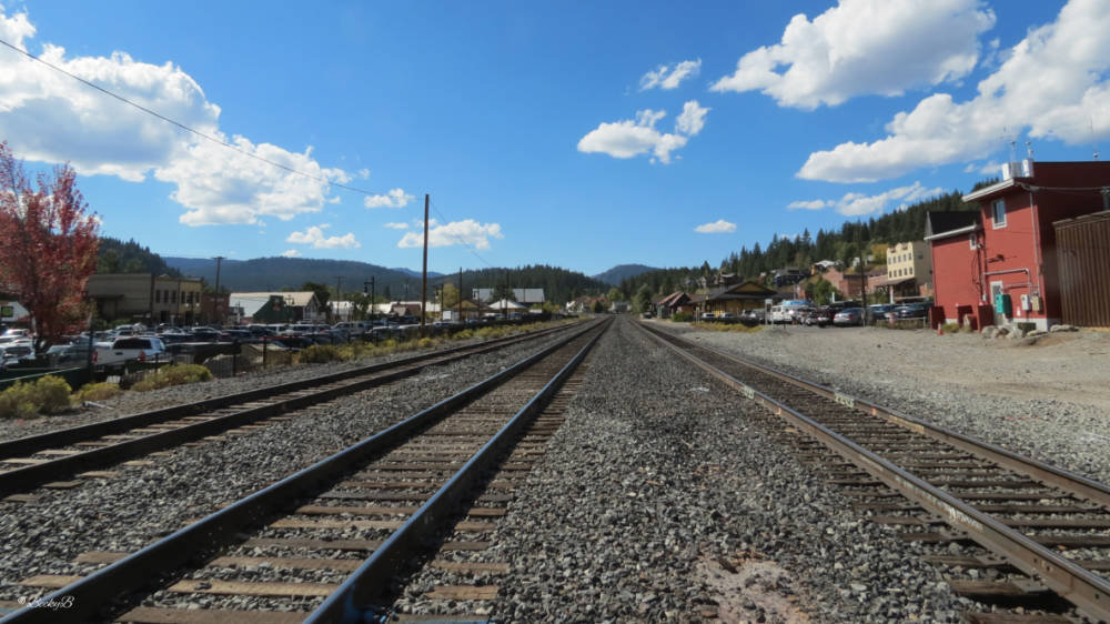 Which Way – The life of B