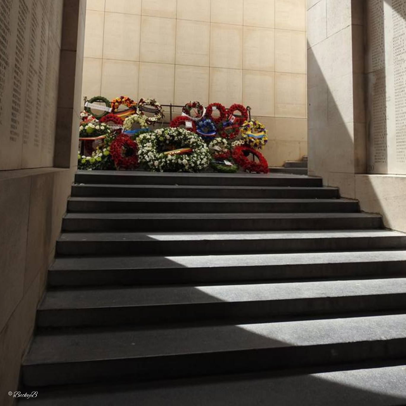 Standing in the Shadows of Remembrance – The life of B