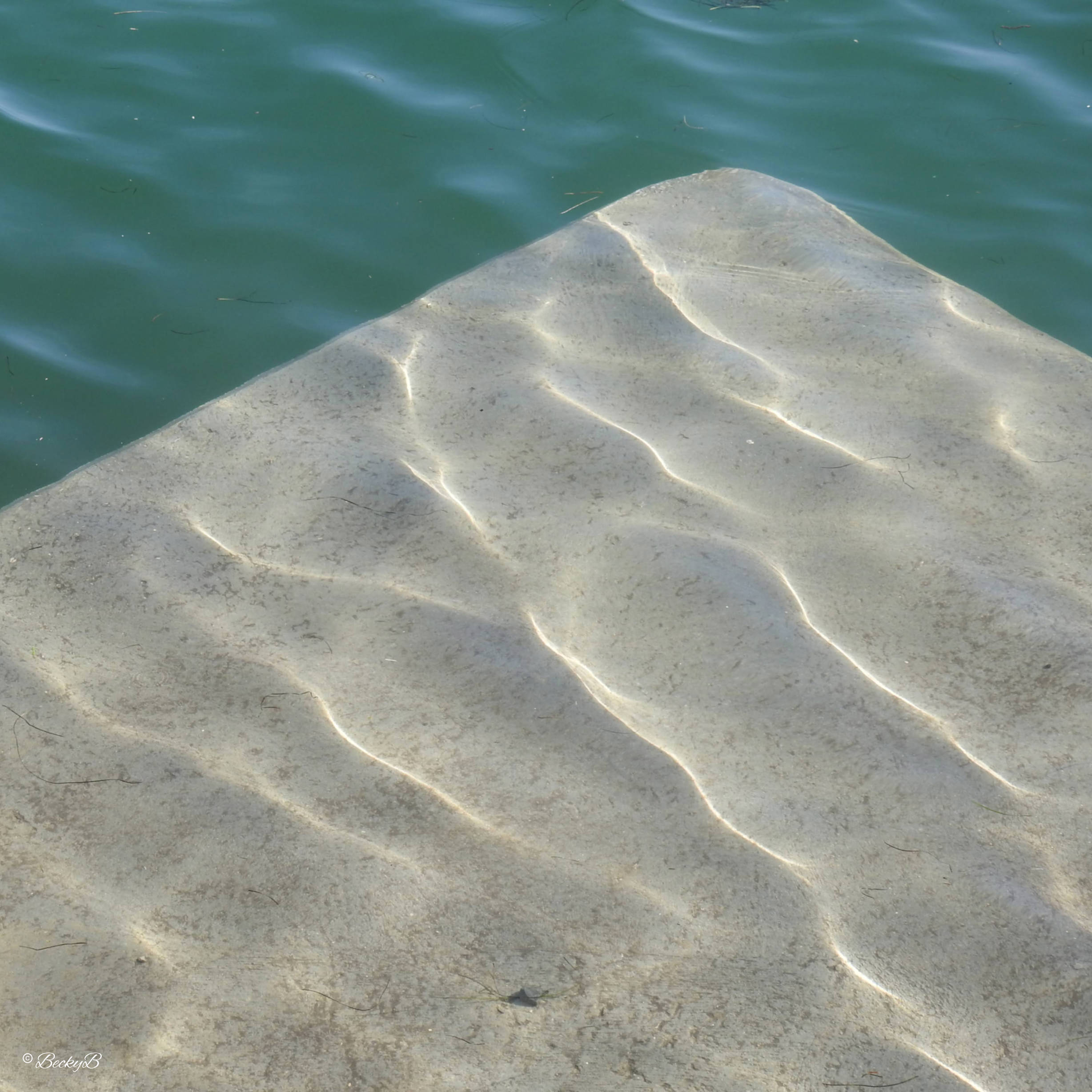 Remember, Remember, the Squares of November – The life of B